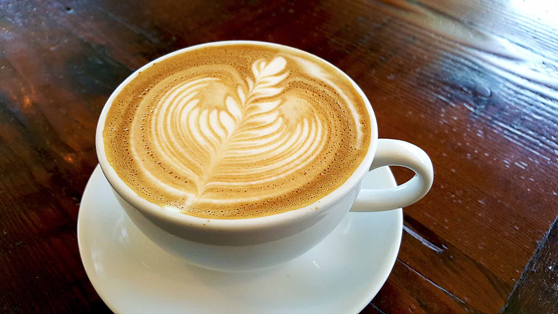 The Latte Served With an Ocean View | Hidden Gems Vancouver